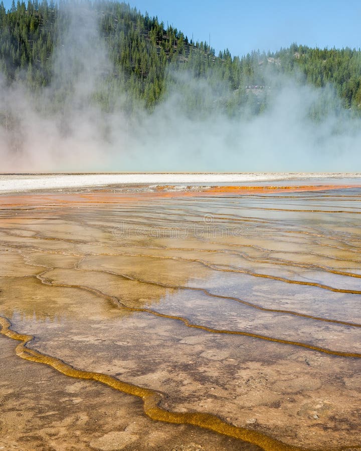Grand Prismatic Spring in Yellowstone National Park Stock Photo - Image ...