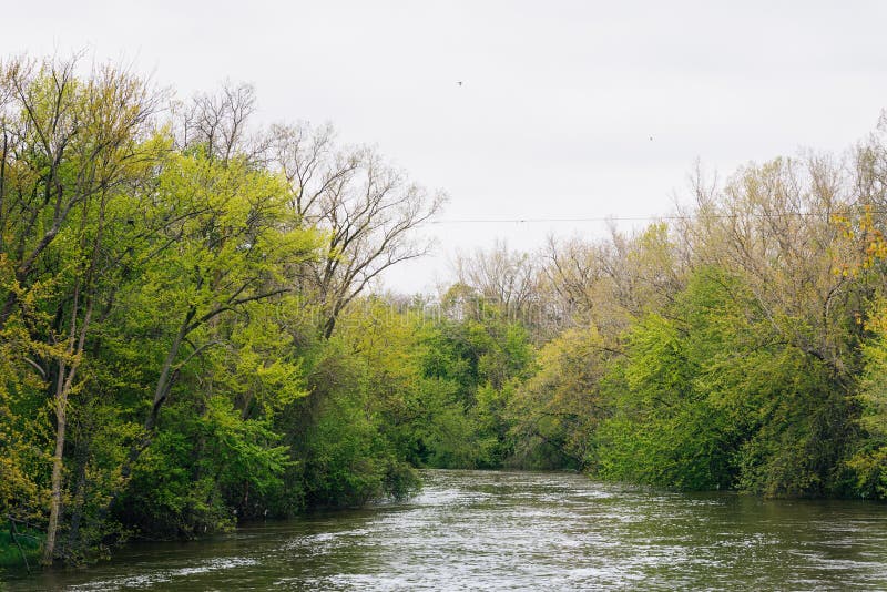 The Grand River, in Lansing, Michigan Stock Photo - Image of midwest ...
