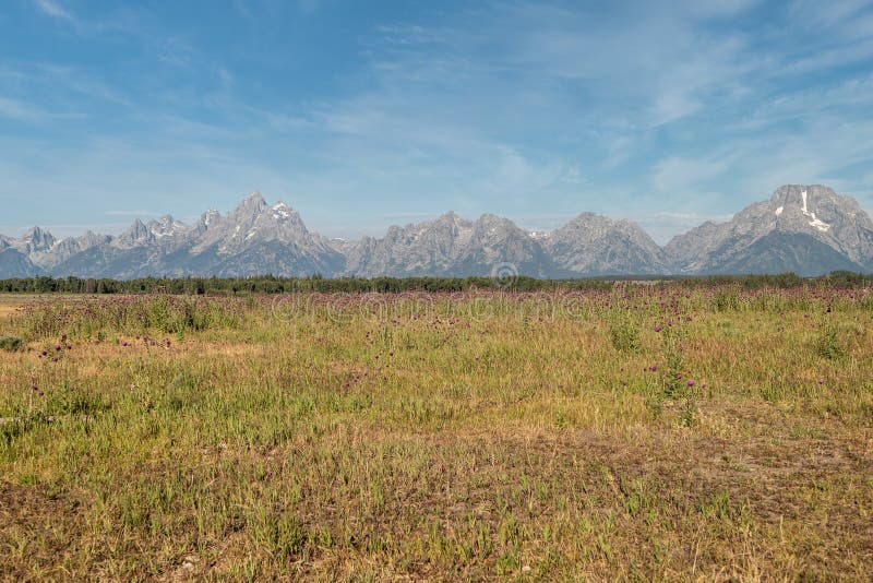 The Grand Teton Mountain Range in Summer Stock Image - Image of ...