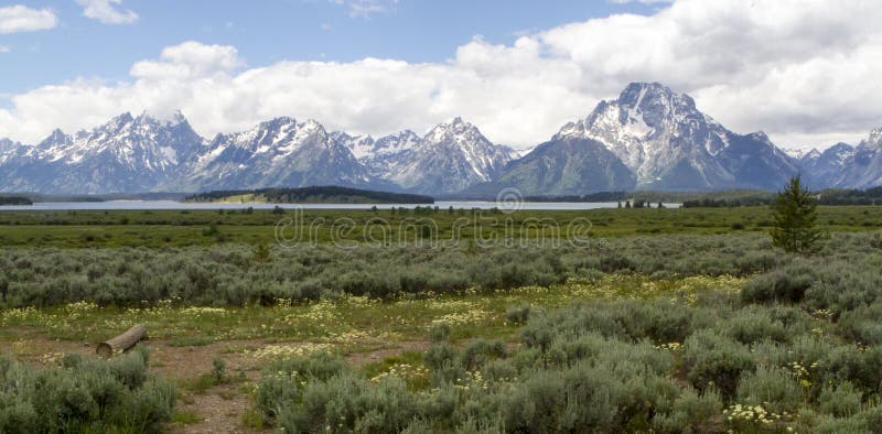 Grand Teton Mountains, River and Valley Stock Image - Image of pines ...