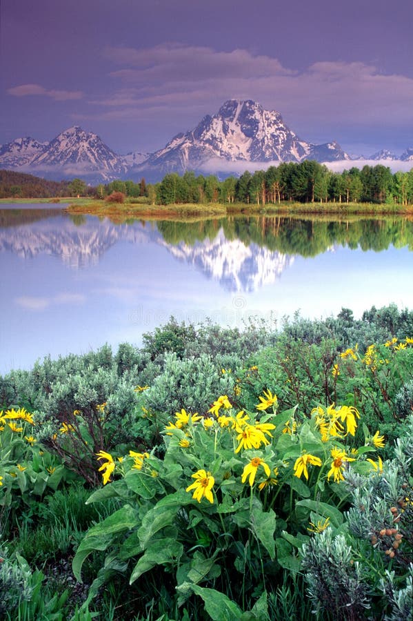 Grand Tetons Portraits stock photo. Image of rock, tourism - 1728440