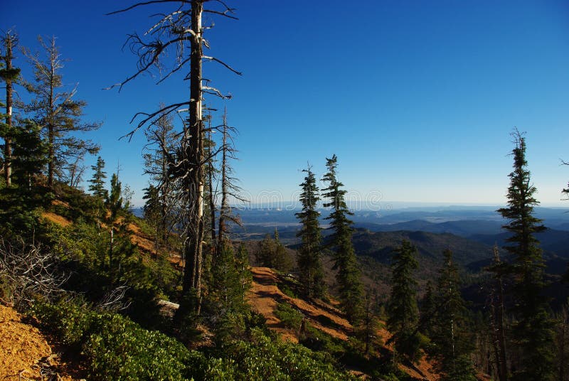 Grand View Trail, Utah stock image. Image of wide, view - 28116957