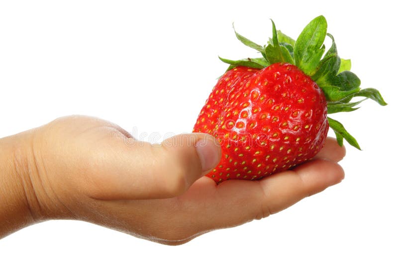 Grande morango imagem de stock. Imagem de comer, branco - 25811257