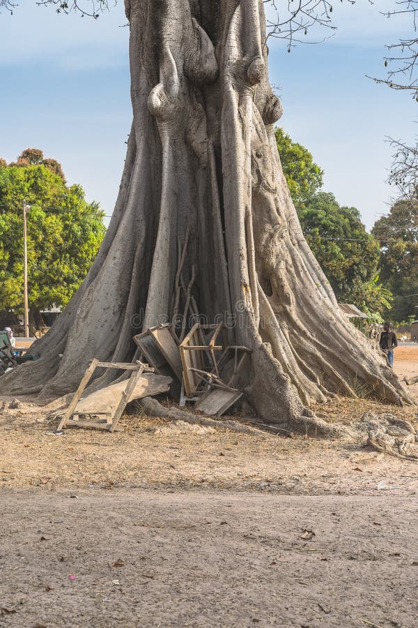 Grande sumaumeira foto de stock. Imagem de monumentos - 37657168