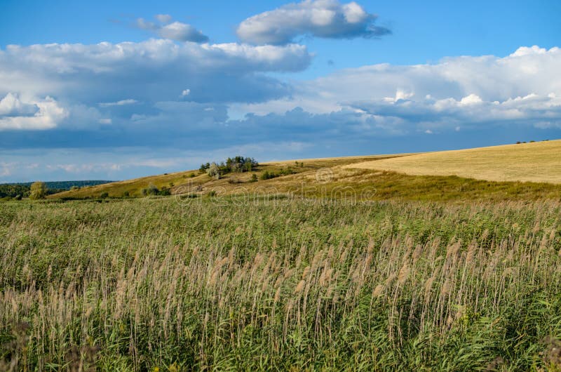 Grandes Nubes En El Horizonte Con Un Campo Imagen de archivo - Imagen ...
