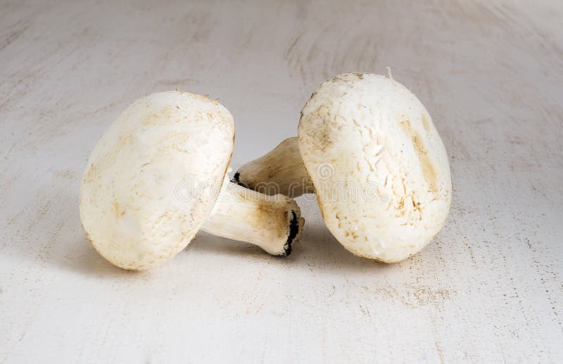 Grandi Funghi Prataioli Bianchi Fotografia Stock - Immagine di funghi ...