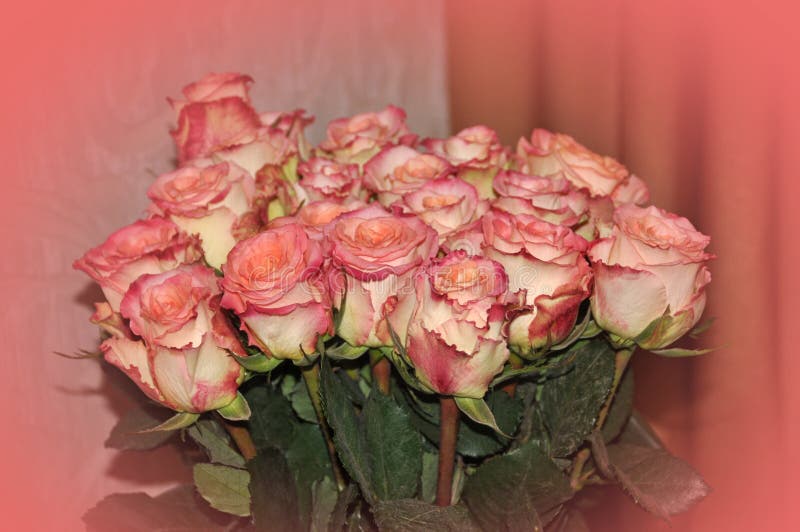 Grandi Rose Di Rosa Del Mazzo Fotografia Stock - Immagine di multiplo ...