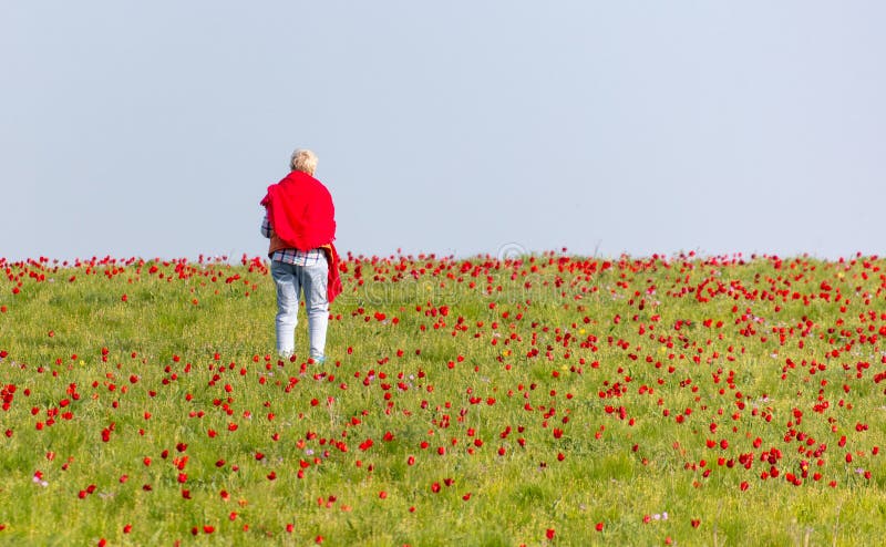 Grandmother in a Tulip Field. Back View Stock Photo - Image of ...