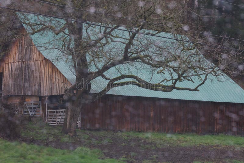 Eric Farlow (Ericfarlow) - Exclusive Photos