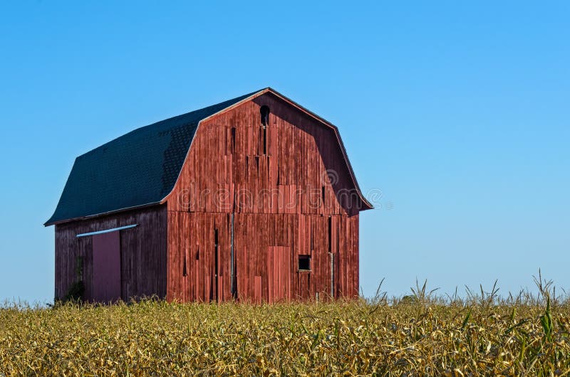Granero Rojo Con El Campo De Maíz Foto de archivo - Imagen de campo ...