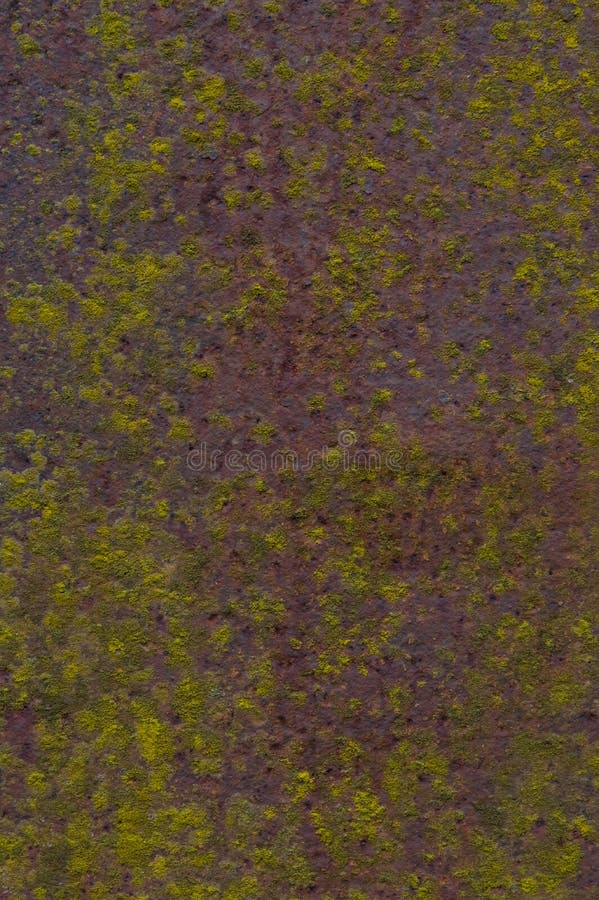 A Sheet of Rusty Metal with Mold Stock Photo - Image of mildew ...