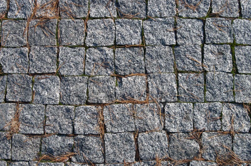 Granite Blocks Pavement in Grid Layout. Pine Needles Scattered Around ...