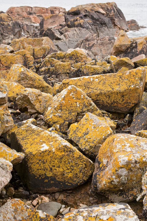 Granite Boulder on Pink Granite Coast in France Stock Photo - Image of ...