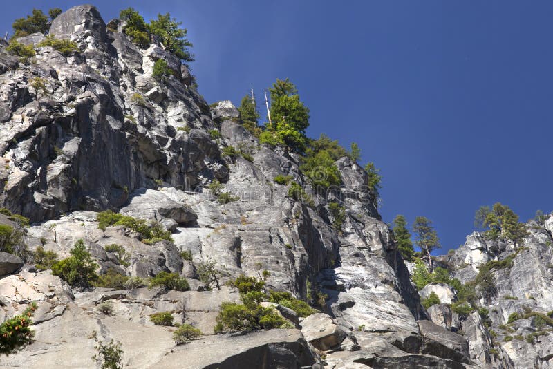 Granite Formations and Natural Growth in Yosemite Stock Image - Image ...
