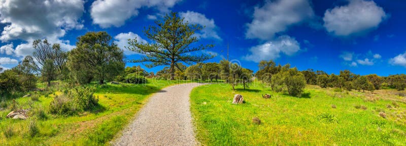 Granite Island, Australia. Beautiful Vegetation Along the Ocean ...