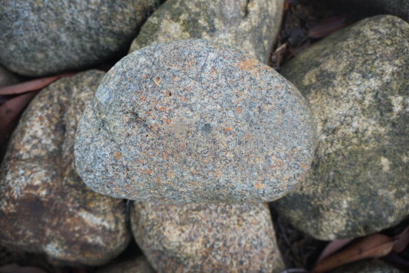 Granite is Felsic Intrusive Plutonic Igneous Rock, Isolated on White ...