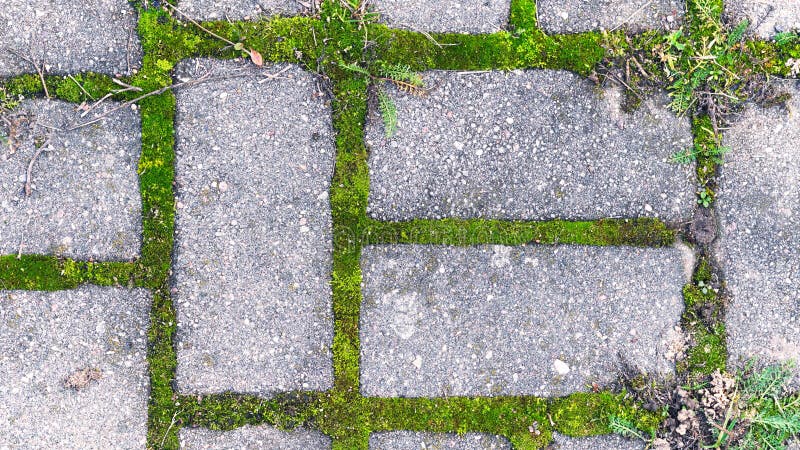 Granite Pavement with Grass Sprouted between the Stones. Street ...