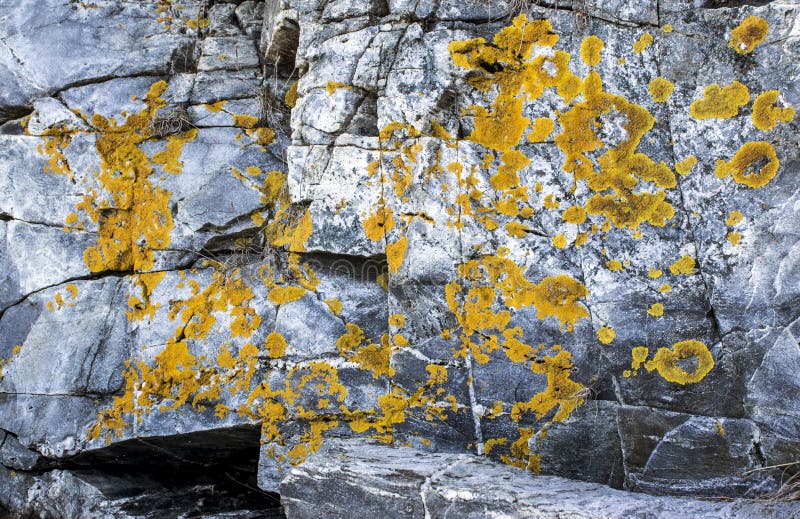 Granite rock stock photo. Image of coast, granite, igneous - 24457962