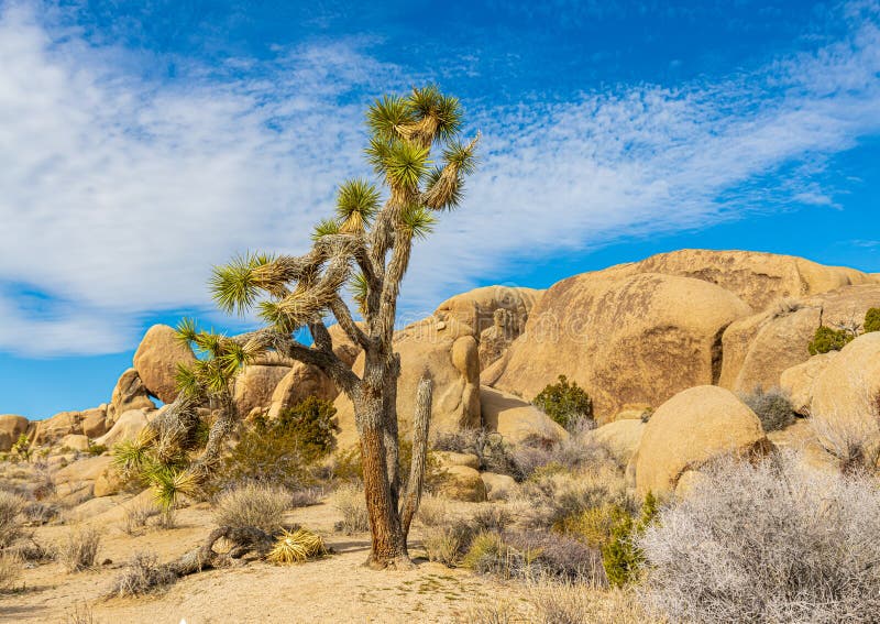 Granite Rock Formations on the Split Rock Loop Trail Stock Photo ...