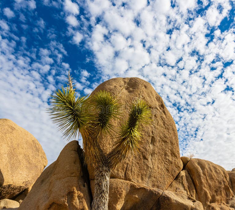 Granite Rock Formations on the Split Rock Loop Trail Stock Image ...