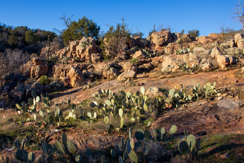 Granite Rocks and Cactus Growing Along Hillside at Inks Lake State Park ...