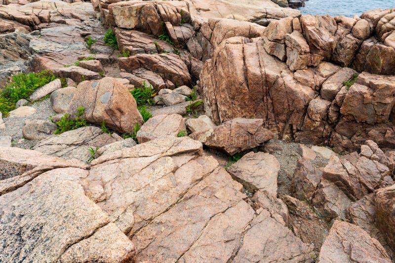 Granite rocks in Maine stock image. Image of closeup - 192283473