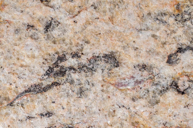 The Phaneritic Texture of Granite Common Intrusive Igneous Rock with ...