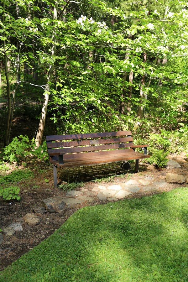 Stone Bench in Lush Green Park Stock Photo - Image of lawn, green ...