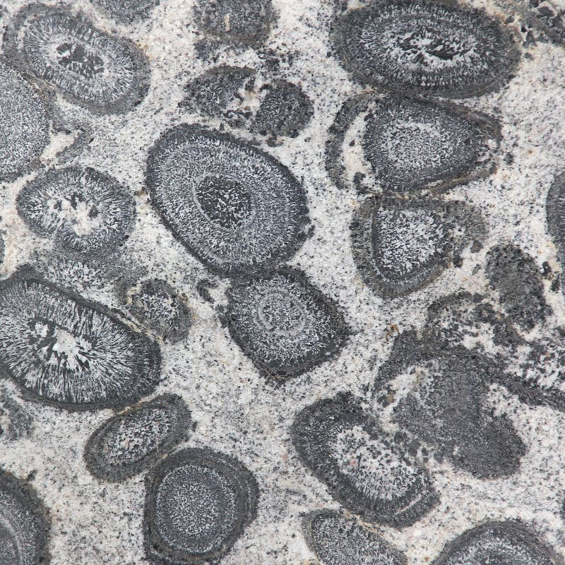 Geodes Stock Photos - Download 552 Royalty Free Photos