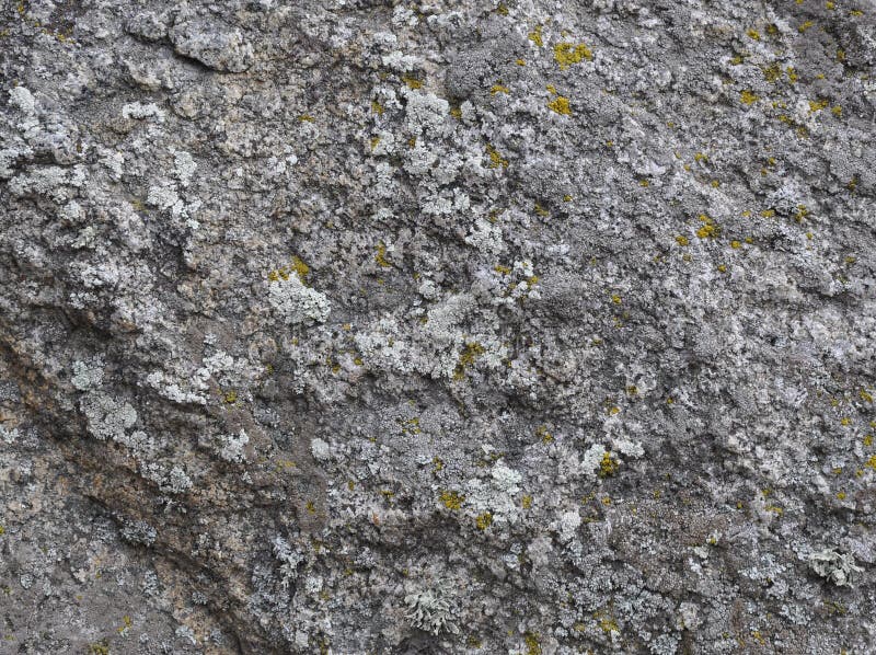 Granite stone with moss stock photo. Image of moss, black - 13966622