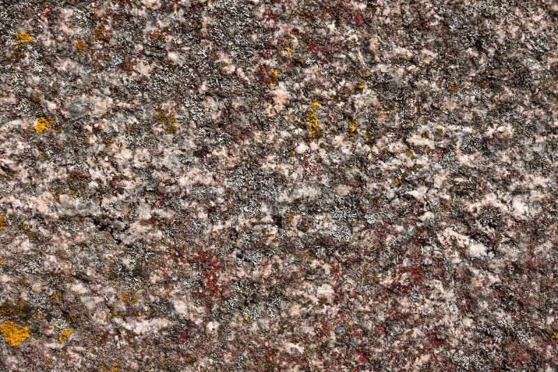 Granite Surface Overgrown with Moss Stock Photo - Image of multicolor ...