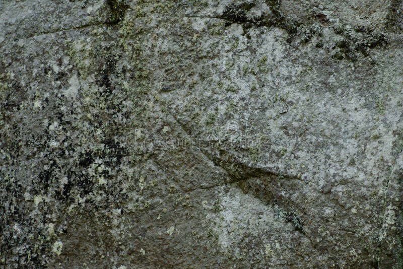 Gray Texture Diabase. Horizontal Background of Igneous Rock Stock Image ...