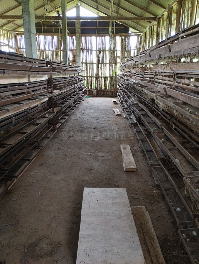 Granja de codorniz imagen de archivo. Imagen de tendiente - 262413567