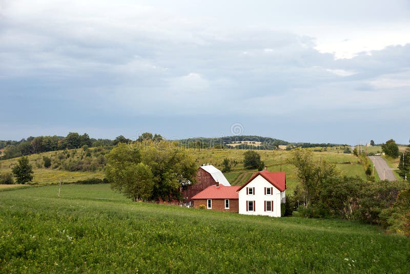 Paisaje Rural, Granja Del Caballo, Cathcart Washington Foto de archivo ...