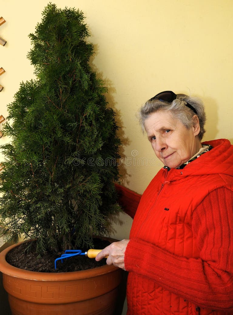 138 Granny Bush Op Stock Photos - Free & Royalty-Free Stock Photos from ...