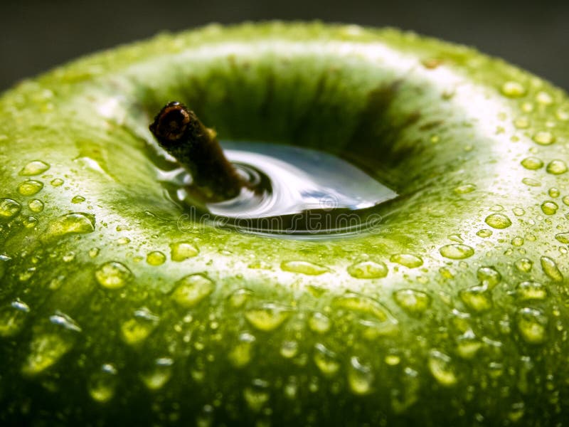 247 Granny Up's Stock Photos - Free & Royalty-Free Stock Photos from ...