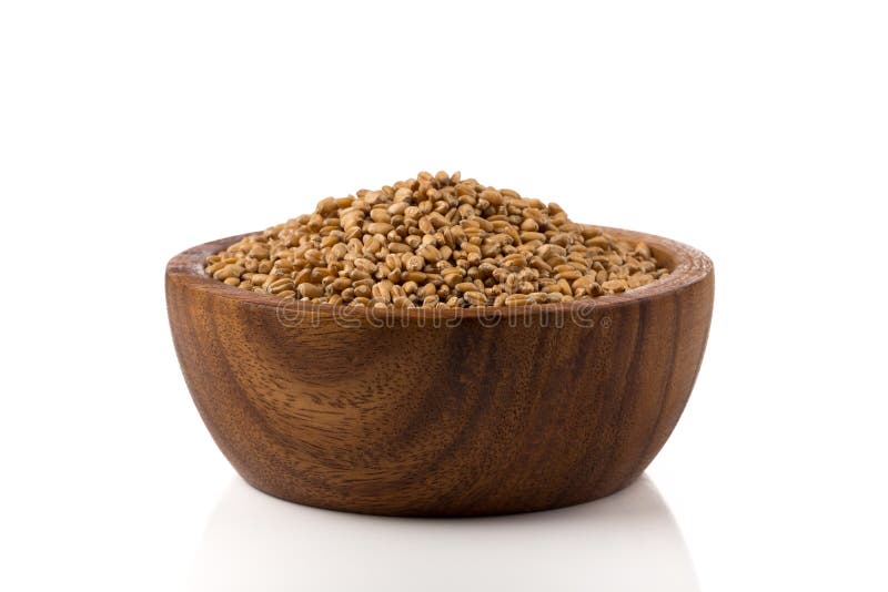 Trigo Común, Triticum Aestivum, Spelta De La Variedad Foto de archivo ...