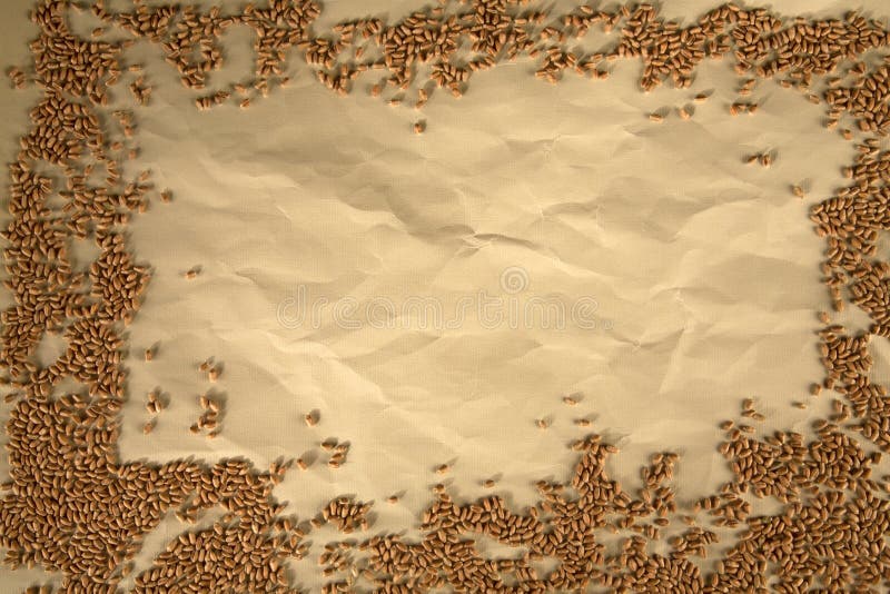 Grano En El Bacground De Papel Foto de archivo - Imagen de cosecha ...
