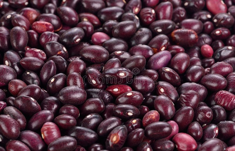 Grano Rojo Aislado En Fondo Blanco Imagen de archivo - Imagen de macro ...