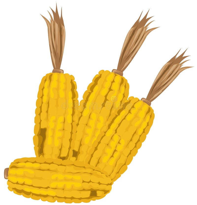 Granos ilustración del vector. Ilustración de grano, grupo - 20124202