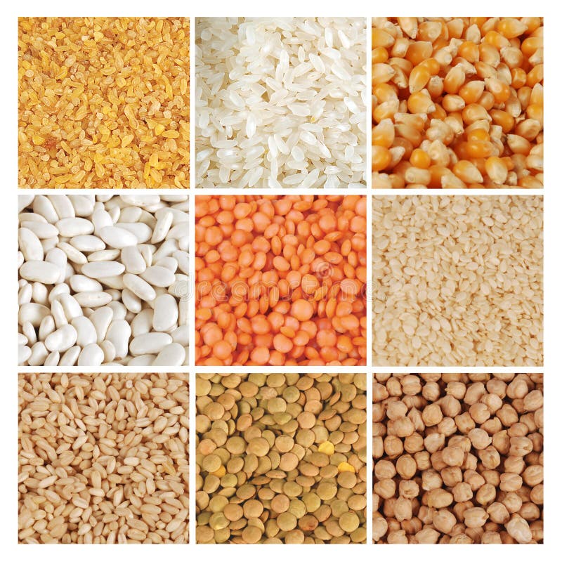 Gérmenes Y Variedad De Los Granos Foto de archivo - Imagen de granos ...
