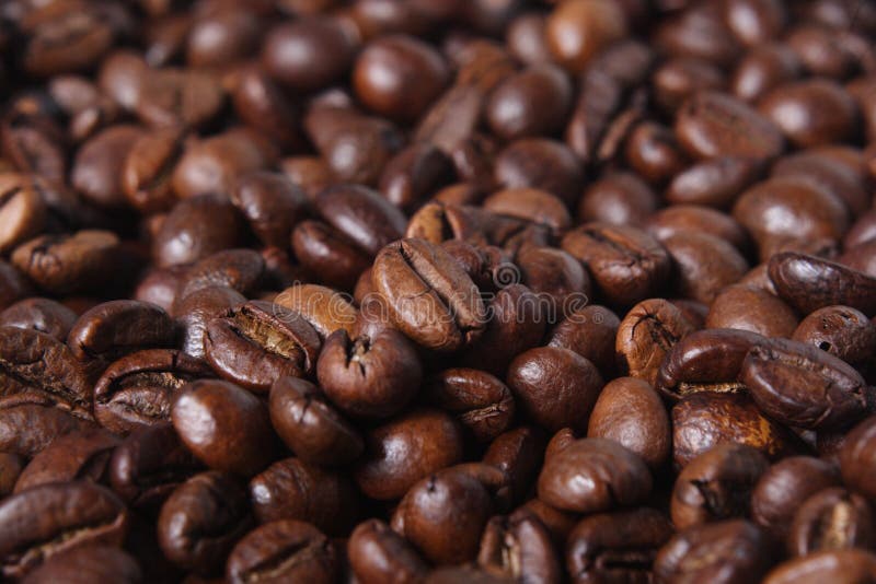 Granos de café Robusta imagen de archivo. Imagen de modelo - 34437615