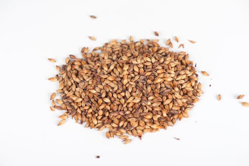 Granos de la malta imagen de archivo. Imagen de fondo - 52755061