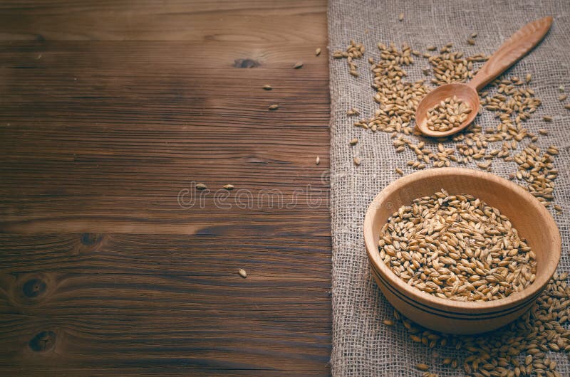 Granos De La Malta En El Pote Aislado Foto de archivo - Imagen de ...