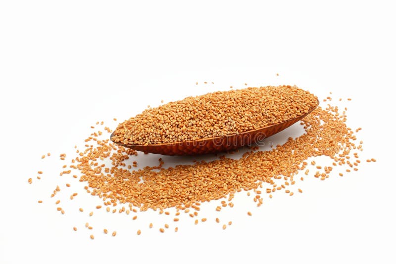 Granos Del Trigo Listos Para Moler Foto de archivo - Imagen de cosecha ...