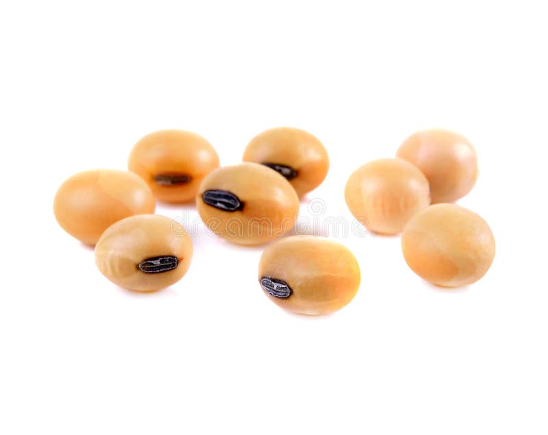 Granos De Soja En El Blanco Foto de archivo - Imagen de aislado, germen ...