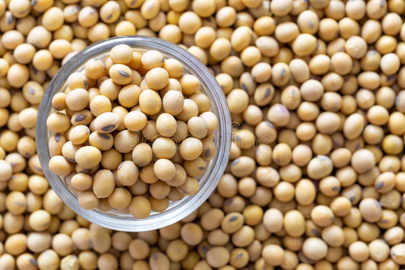 Granos De Soja En Vaso De Vidrio Sobre Fondo De Soja Imagen de archivo ...