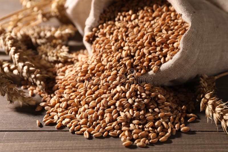 Granos De Trigo Con Espigas Sobre Mesa De Madera Foto de archivo ...