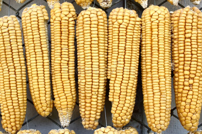 Granos secos foto de archivo. Imagen de ingredientes - 15362600