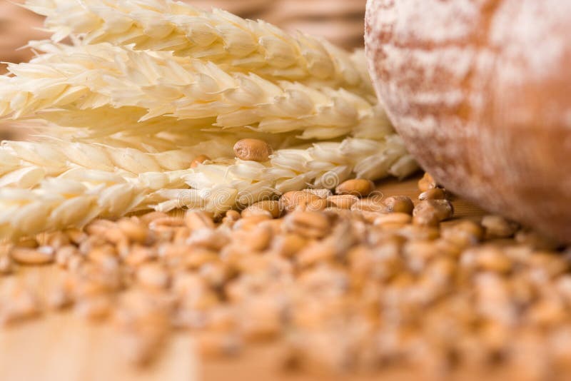 Granos y pan del trigo foto de archivo. Imagen de trigo - 3655640